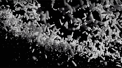 Mozzarella Shredded 2kg | Arla® Pro