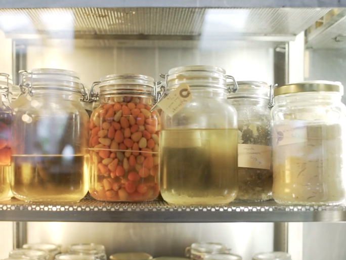 Arla Pro Gastro | Lækre opskrifter og tips til gastronomi | Arla Pro ...