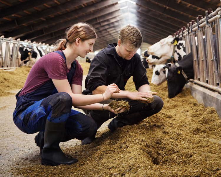 Our Commitment To Reducing Food Waste | Arla® Pro